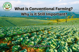 What is Conventional Farming? Why is it Still Important? - RUIA